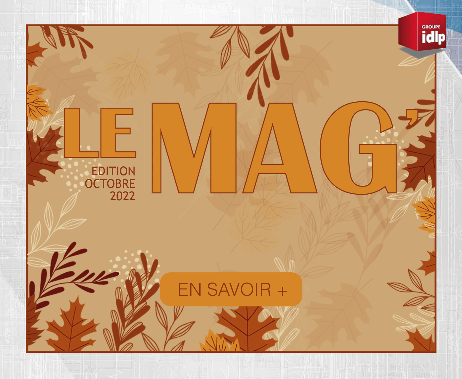 IDLP : La distribution maîtrisée... depuis 1946